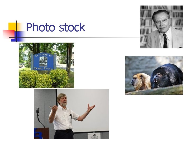 Word Order Typology based on Comrie 1981 Croft