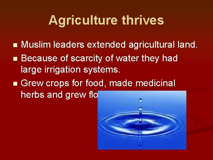 Muslim Civilizations Golden Age Social and Economic Advances