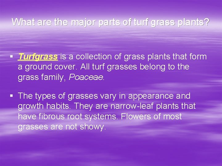 Identifying Classifying and Selecting Turfgrass Student Learning Objectives
