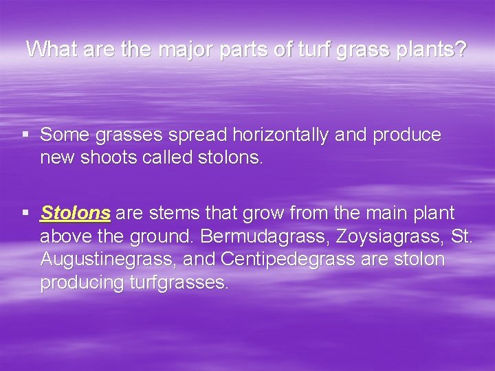 Identifying Classifying and Selecting Turfgrass Student Learning Objectives