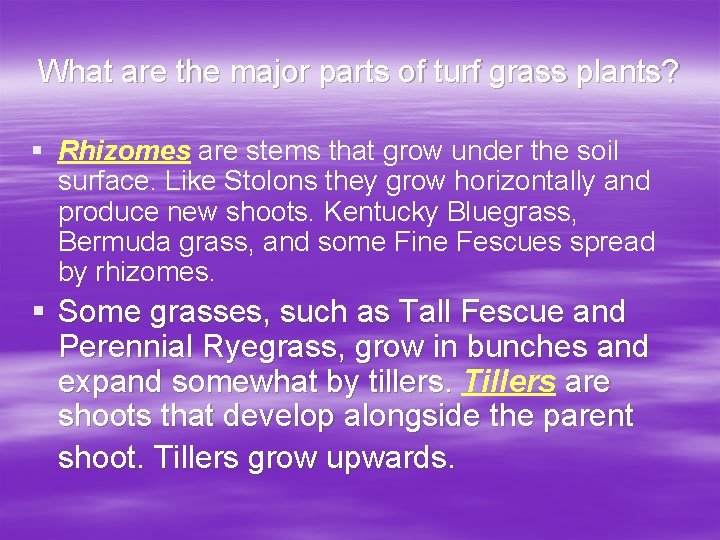 Identifying Classifying and Selecting Turfgrass Student Learning Objectives