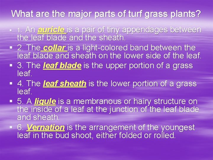 Identifying Classifying and Selecting Turfgrass Student Learning Objectives
