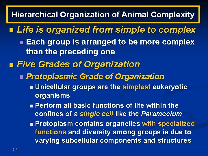 CHAPTER 9 Architectural Pattern of an Animal Powerpoints