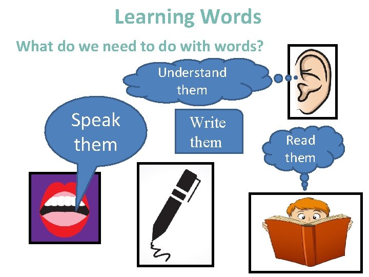 Vocabulary Development Randal Cremer Primary School Laura Randall