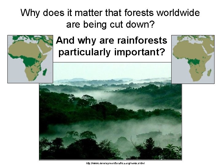 RAINFORESTS DEFORESTATION Africas rainforests are disappearing Original ...