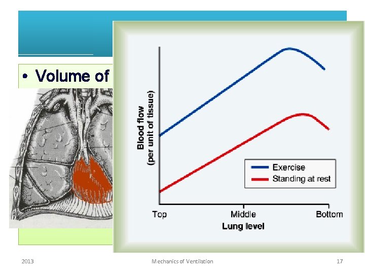 Mechanics of Ventilation Prof K Sivapalan Introduction Gas