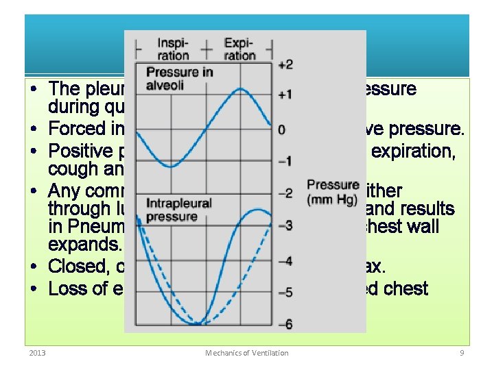 Mechanics of Ventilation Prof K Sivapalan Introduction Gas