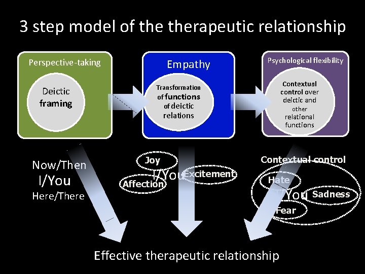 Improving Clinicians empathy skills with ACT Matthieu VILLATTE