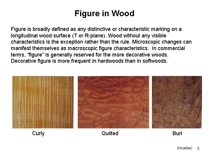 WOOD 280 Macroscopic wood anatomy features Figure Grain