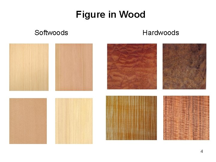 WOOD 280 Macroscopic wood anatomy features Figure Grain