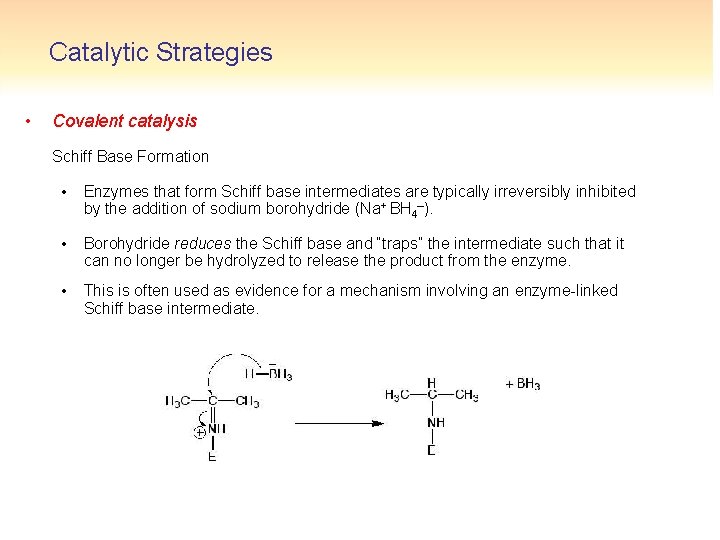 Advanced Bioprocess Engineering Enzymes Enzymes Kinetics Lecturer Dr