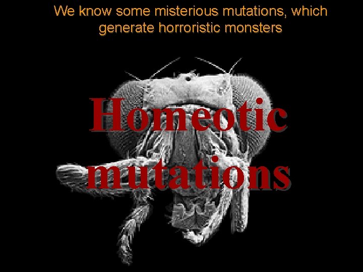 We know some misterious mutations which generate horroristic