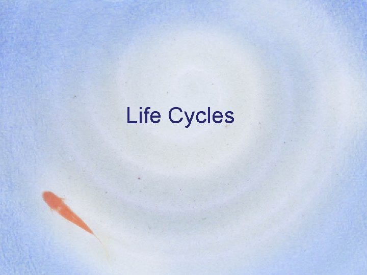 Life Cycles Objective Plants and animals have life