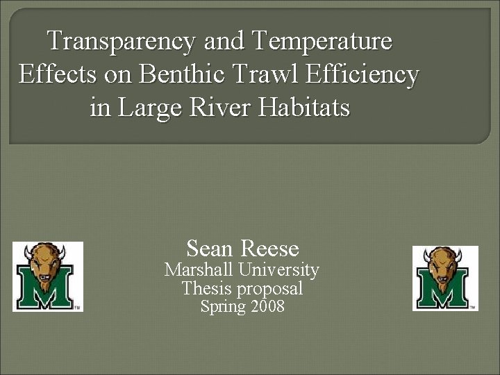 Transparency and Temperature Effects on Benthic Trawl Efficiency