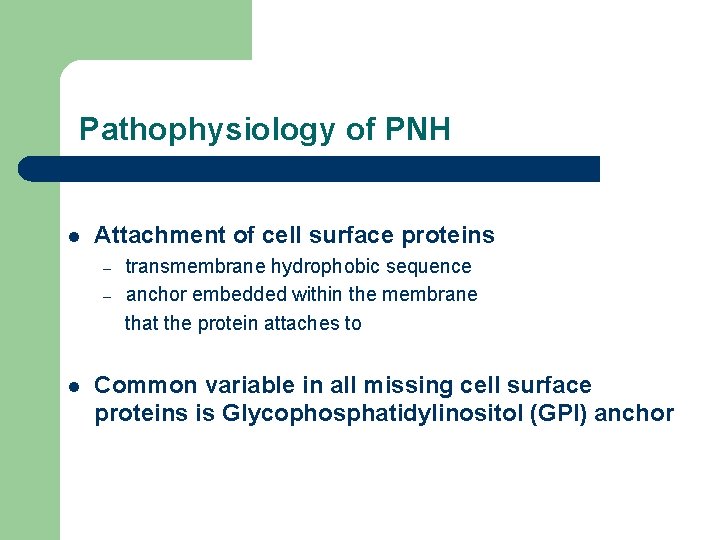 Paroxysmal Nocturnal Hemoglobinuria Paroxysmal Nocturnal Hemoglobinuria l l
