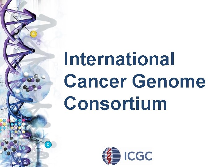 International Cancer Genome Consortium International Facts on Cancer