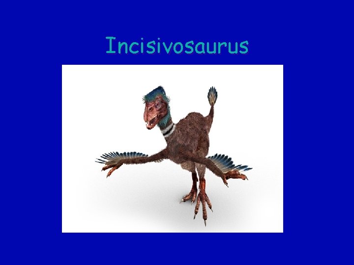 Birds Vertebrate Zoology Thecodontosaurus Thecodontosaurus Iguanodon ...