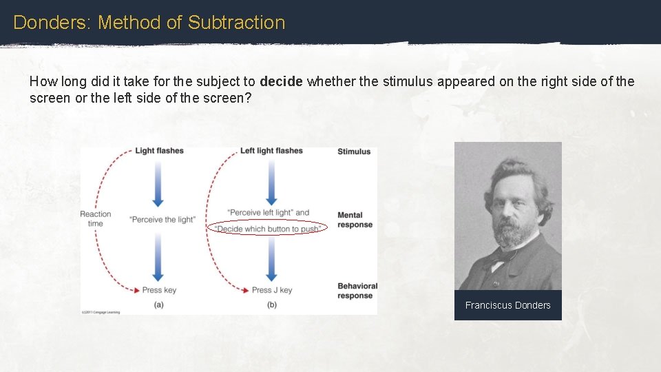 COGNITIVE PSYCHOLOGY Kenneth J Malmberg Ph D HISTORY