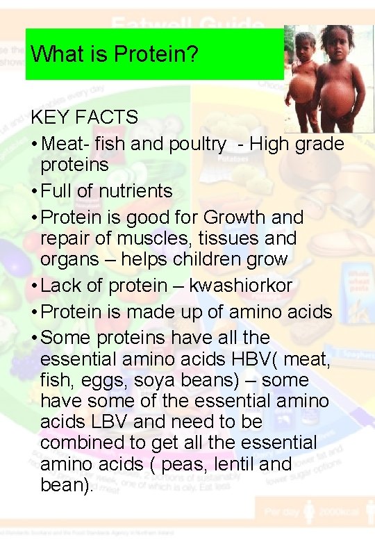Starter protein card sort using BHF cards https