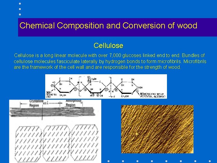 Chemical Composition and Conversion of wood Cellulose is