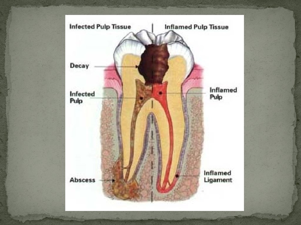 Blok Kedokteran Gigi Dasar Struktur jaringan keras gigi