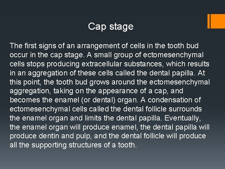 PROCESS INVOLVED IN DETERMINING THE SHAPE OF TEETH