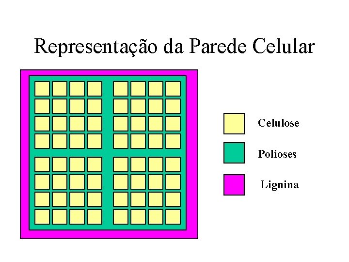 Estrutura e qumica da parede celular AT 078
