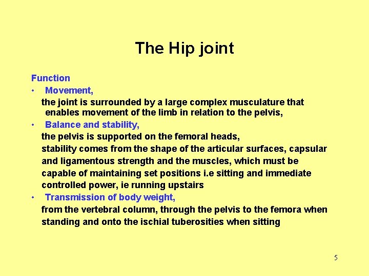 Anatomy of the Hip Principles of Orthopaedic and