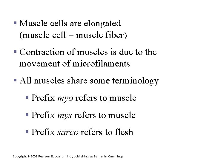 6 The Muscular System PART A Power Point