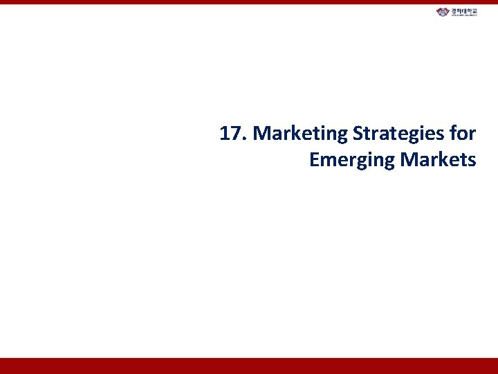 17 Marketing Strategies for Emerging Markets Chapter Overview