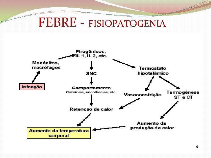 FEBRE Prof Regina Brasil FEBRE QUANDO A FEBRE