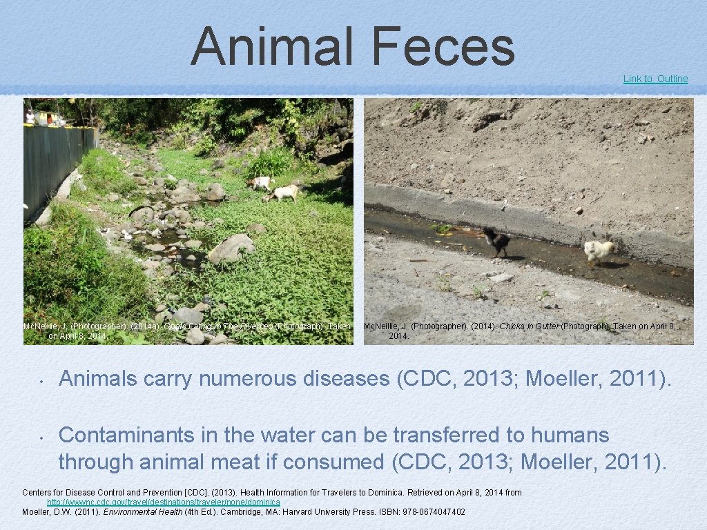 Water Sanitation and Waste Water disposal in Dominica