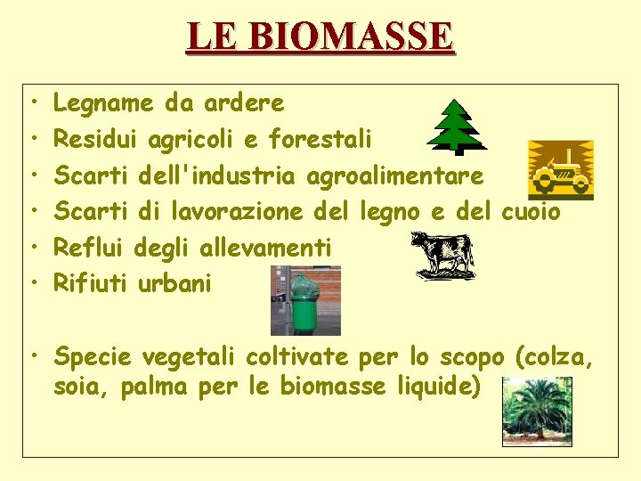 Caratteristiche dellidea di biomassa Lidea di biomassa strettamente