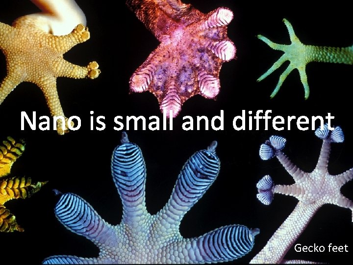 NANOTECHNOLOGY Small Science Big Deal What is nano