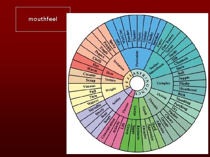 TASTE Food Cooking Culture Wine Chocolate coffee In