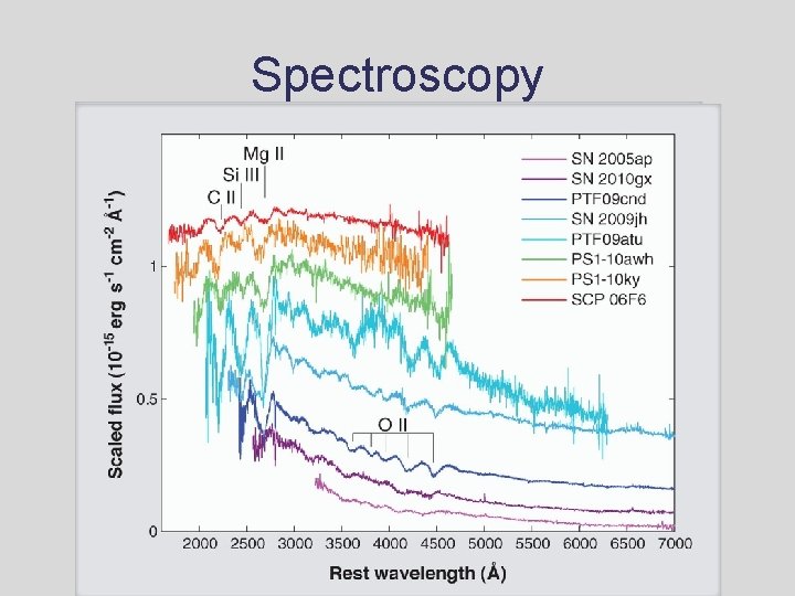Supernovae from Massive Stars light curves and spectral
