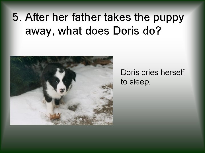 Stray by Cynthia Rylant Review 1 Using your