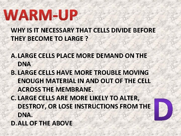 WARMUP WHY IS IT NECESSARY THAT CELLS DIVIDE
