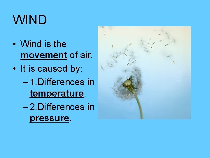 LAND SEA BREEZES For Ms Bakers Class Land