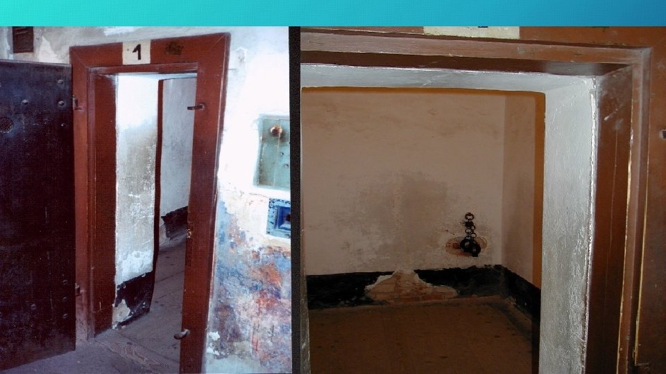 Gavrilo Princip Exploring Historical Figures Introduction It would