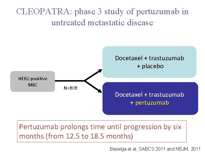 Metastatic Breast Cancer and Emerging Research Kathryn J