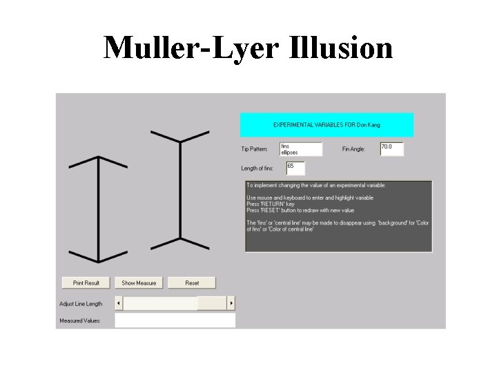 How the eye and brain really interact By