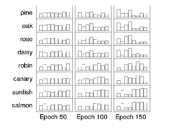 Representation Development and Disintegration of Conceptual Knowledge A