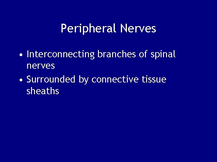 What are the major components of a spinal