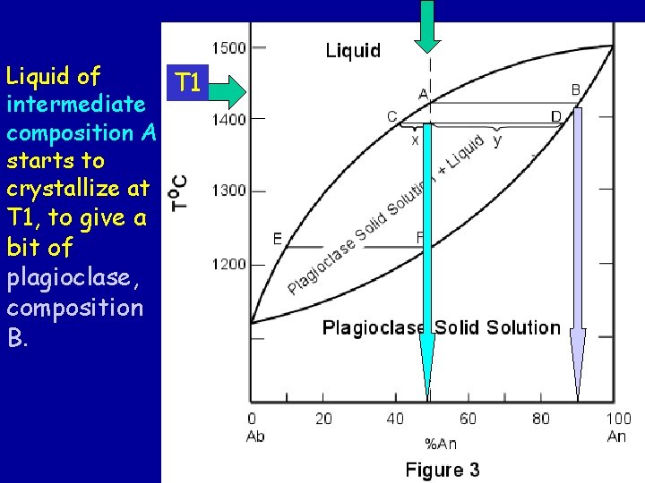 Tectosilicates the feldspars Nesse EPSC 210 Introductory Mineralogy