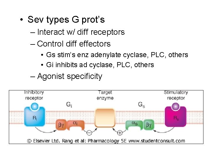 Cellular Receptors Chapter 2 Binding of Drugs into