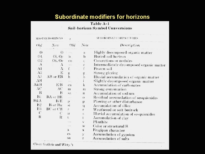 Lecture 3 Soil Ecological definition of soil Why