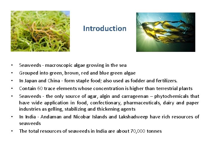 CULUTURE OF SEAWEEDS Introduction Seaweeds macroscopic algae growing