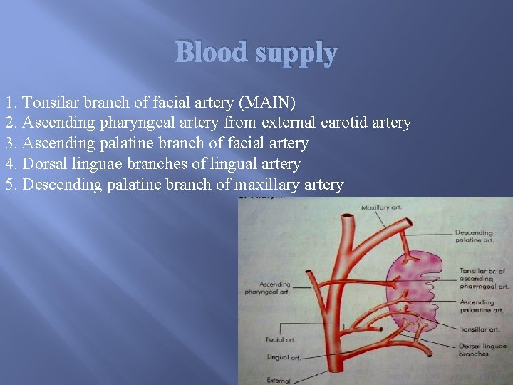 CHRONIC TONSILLITIS By Dr Sharwak Ramlan Is an