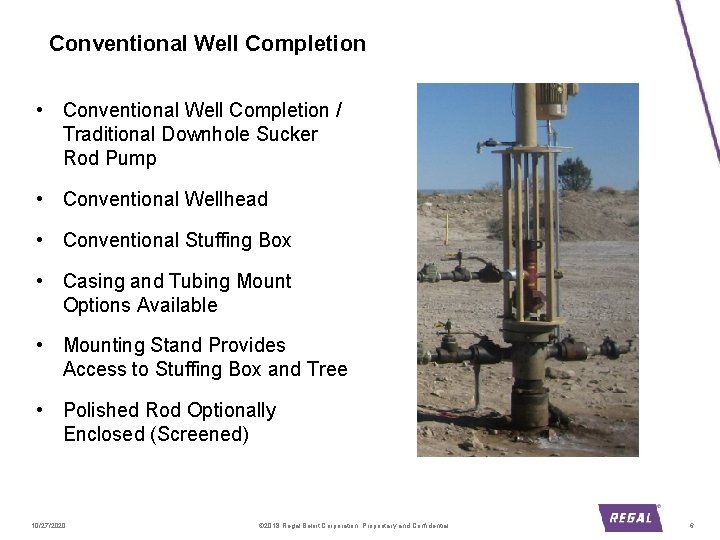 Executive Summary Small Footprint LRP Pumping Unit Jordan